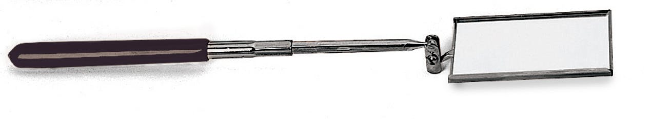 SEP